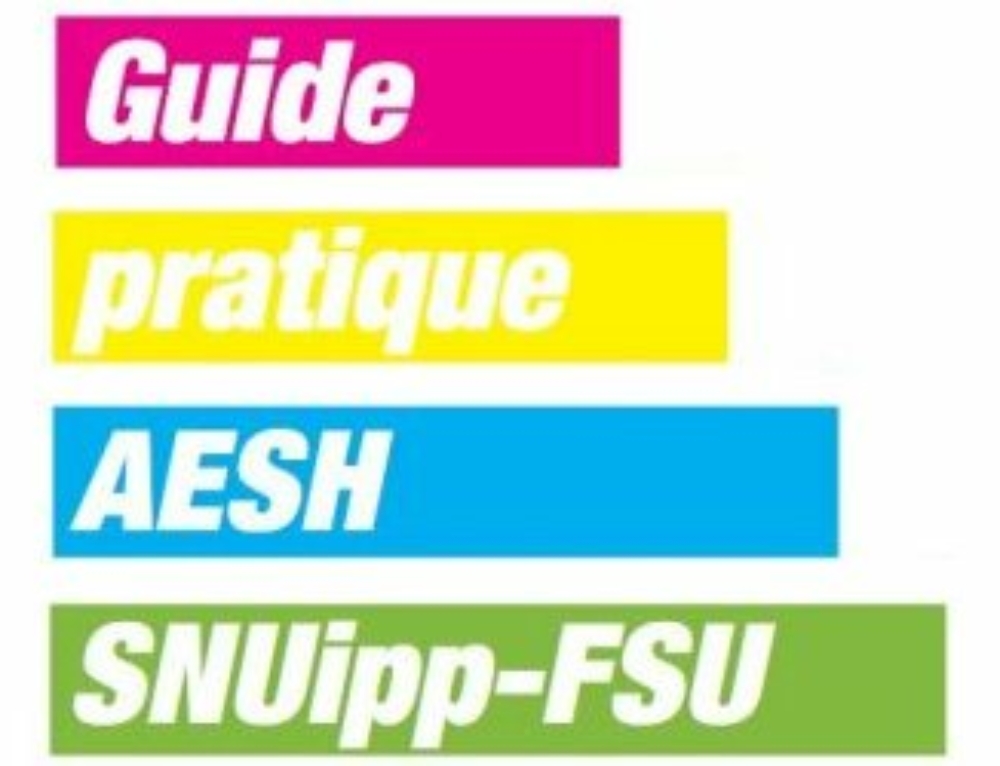 AESH : INTERVENTIONS AU COURS DE LA JOURNÉE DE LUTTE CONTRE LA PRÉCARITÉ DANS LA FONCTION ...